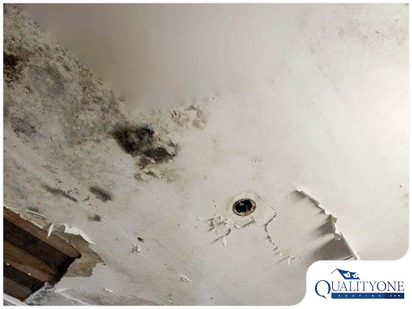 How Humidity Affects Your Roof
